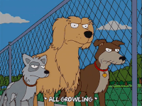 Growling GIFs - Get the best gif on GIFER