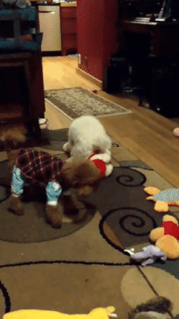 Beat box GIFs - Get the best gif on GIFER