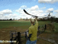 Project GIFs - Get the best gif on GIFER