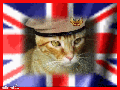 British GIF - Conseguir el mejor gif en GIFER