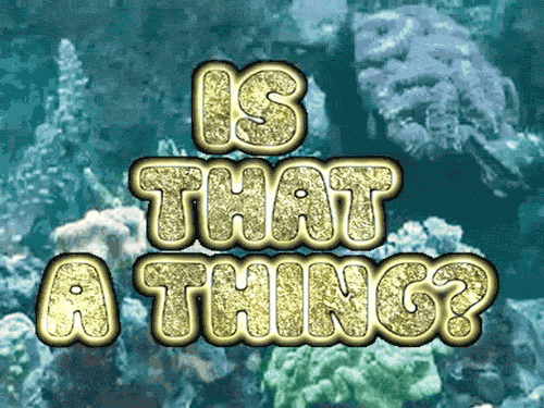 Oh its a thing GIF - Conseguir o melhor gif em GIFER