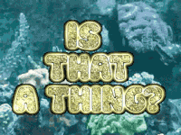 Kernel GIFs - Get the best gif on GIFER