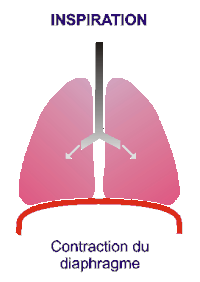 Inspiracion GIFs - Get the best gif on GIFER