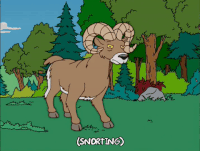Ram GIFs - Get the best gif on GIFER