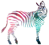 Zebra GIFs - Get the best gif on GIFER