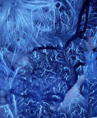Frost GIFs - Get the best gif on GIFER