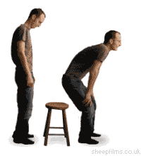 Stool GIFs - Get the best gif on GIFER