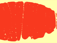 Transition GIFs - Get the best gif on GIFER