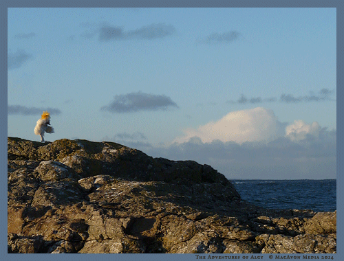 Highlands GIF - Conseguir el mejor gif en GIFER