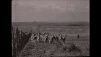 Ranching GIFs - Get the best gif on GIFER