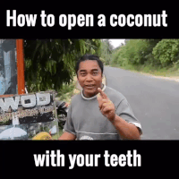 Coco GIFs - Get the best gif on GIFER