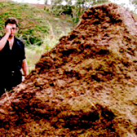 Bullshit GIFs - Get the best gif on GIFER