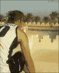 Techo GIFs - Get the best gif on GIFER