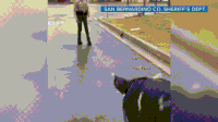 Luring GIFs - Get the best gif on GIFER