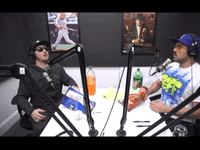 Bigcats GIFs - Get the best gif on GIFER