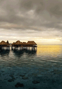 Inspiration GIFs - Get the best gif on GIFER