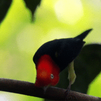 Intricate GIFs - Get the best gif on GIFER