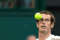 Focused GIFs - Get the best gif on GIFER