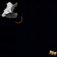 Echolocation GIFs - Get the best gif on GIFER