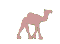 Camel GIFs - Get the best gif on GIFER