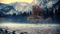 Parks GIFs - Get the best gif on GIFER