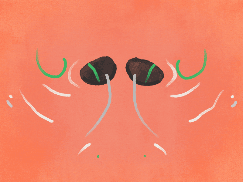 Respirare GIFs - Get the best gif on GIFER