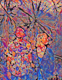 Neural GIFs - Get the best gif on GIFER