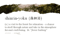 Boho GIFs - Get the best gif on GIFER