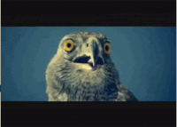 Fertig GIFs - Get the best gif on GIFER