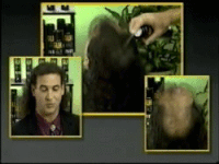 Mullet GIFs - Get the best gif on GIFER