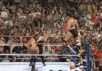 Wwf GIFs - Get the best gif on GIFER
