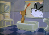 Mouse GIFs - Get the best gif on GIFER