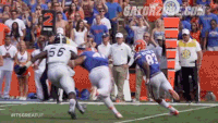 Florida GIFs - Get the best gif on GIFER