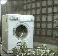 Washing machine GIFs - Get the best gif on GIFER