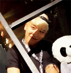 Seungri panda GIF - Conseguir o melhor gif em GIFER