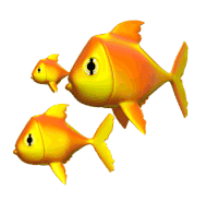 Goldfish GIFs - Get the best gif on GIFER