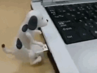 Usb GIFs - Get the best gif on GIFER