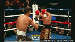 Midweek GIFs - Get the best gif on GIFER