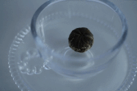 Tee GIFs - Get the best gif on GIFER