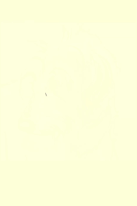 Labradoodle GIF - Conseguir o melhor gif em GIFER