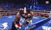 Headbutt GIFs - Get the best gif on GIFER