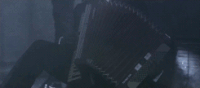 Zea GIFs - Get the best gif on GIFER
