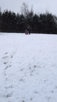 Sledging GIFs - Get the best gif on GIFER