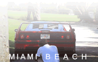 Miami beach GIF - Conseguir o melhor gif em GIFER