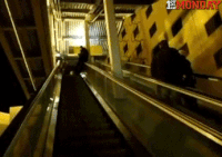 Quickly GIFs - Get the best gif on GIFER