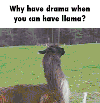 Lose GIFs - Get the best gif on GIFER