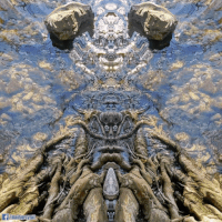 Vision GIFs - Get the best gif on GIFER