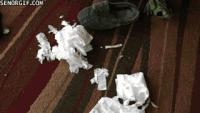 Mess GIFs - Get the best gif on GIFER