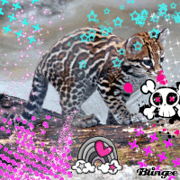 Ocelot GIFs - Get the best gif on GIFER
