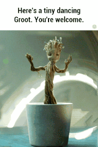 Groot GIFs - Get the best gif on GIFER